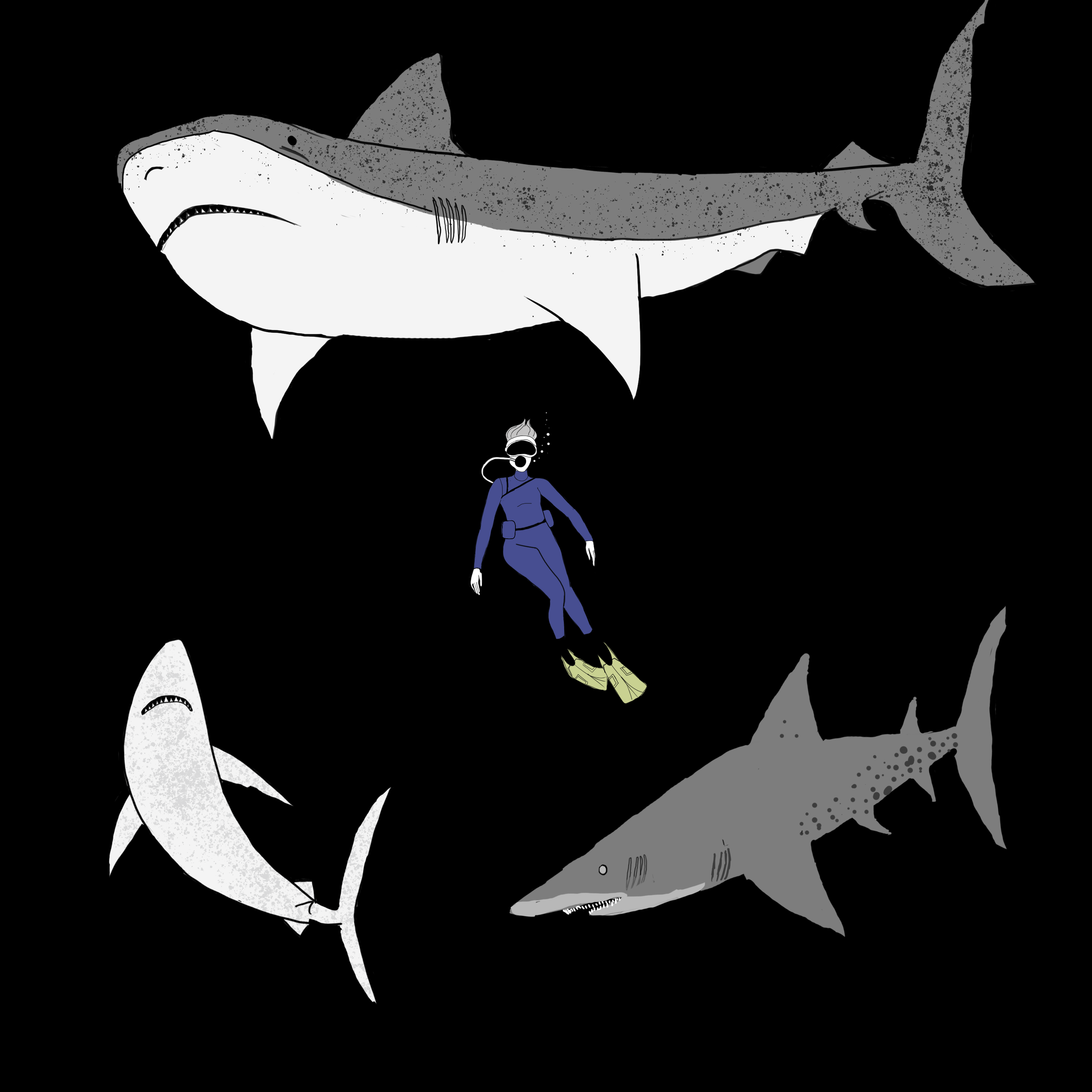 TAL_Sharks – The Gloria Sirens